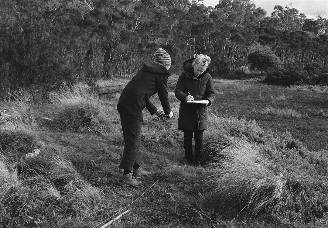 In Conversation - LAST Collective - Mornington Peninsula Regional Gallery
